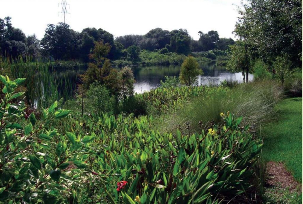 Creative Landscaping Designs | Landscape Designers in Central Florida